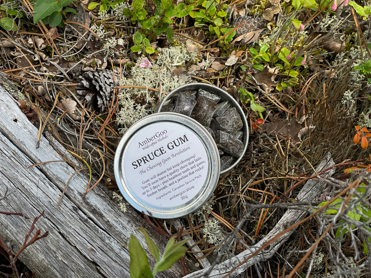 Canadian Spruce Gum 30g - Chew Wild and Free – AmberGoo