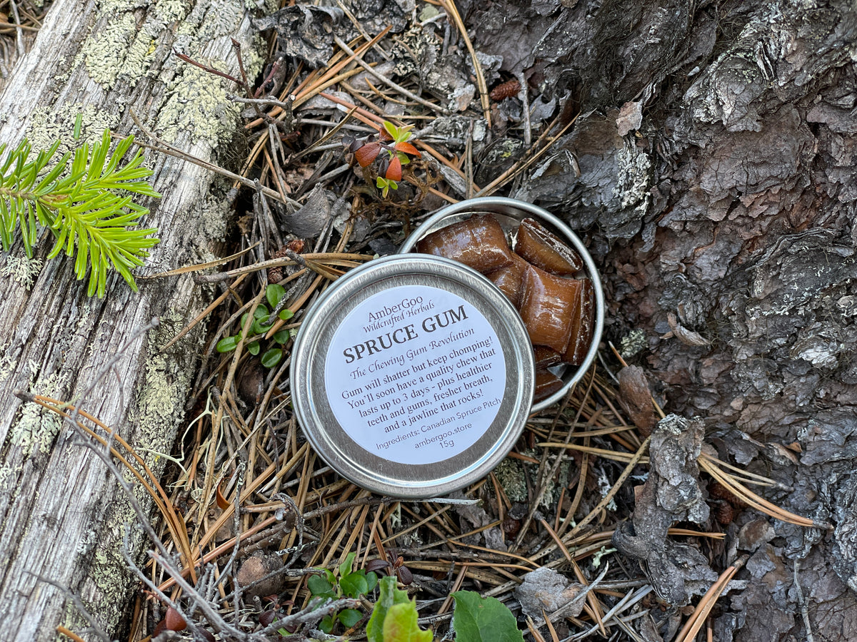 Canadian Spruce Gum 15g - Sugar-Free, All Natural AmberGoo Gum