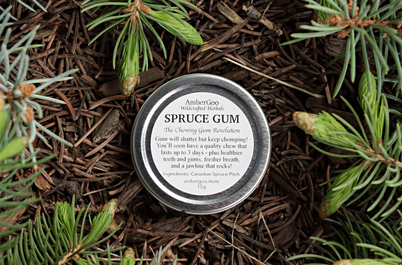 Canadian Spruce Gum 15g - Sugar-Free, All Natural AmberGoo Gum