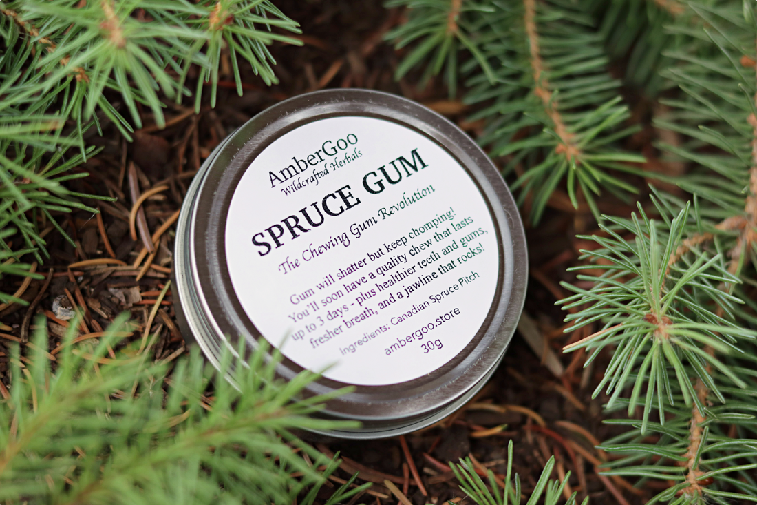 Canadian Spruce Gum 30g - Chew Wild and Free – AmberGoo