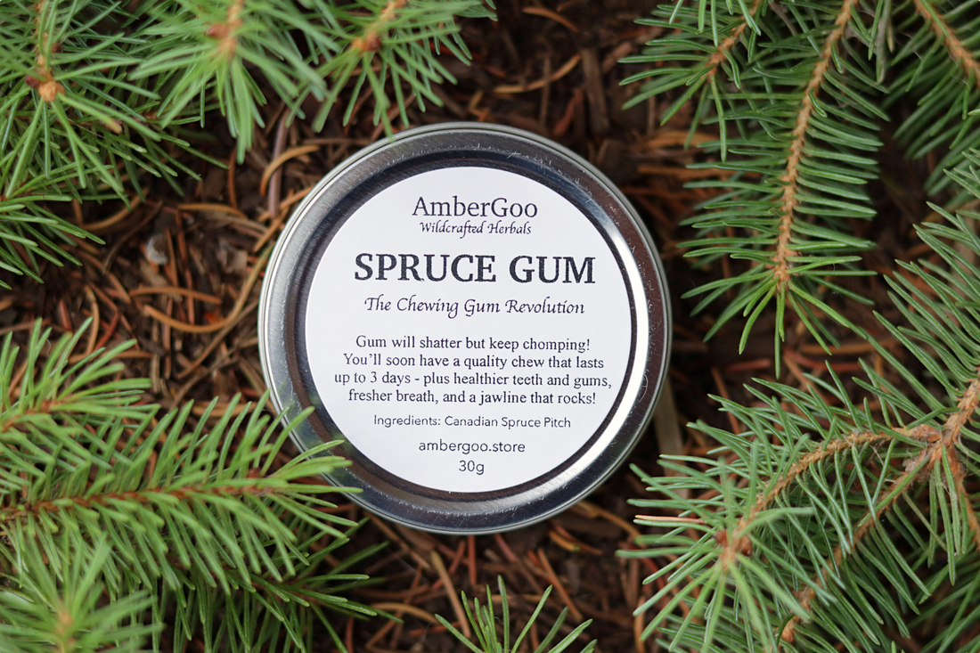 Canadian Spruce Gum 30g - Chew Wild and Free – AmberGoo