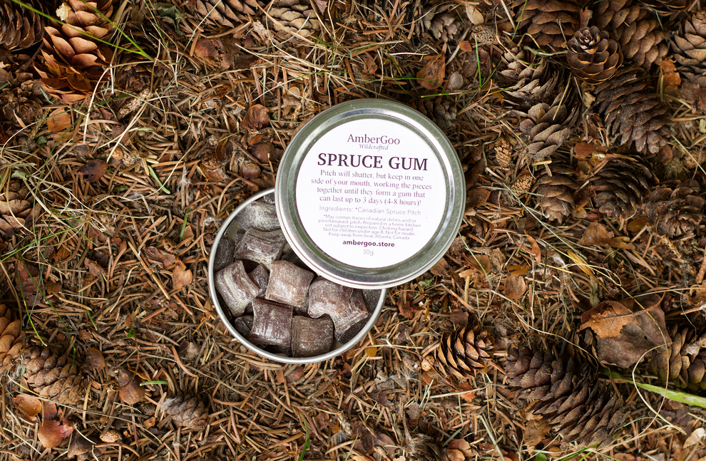 Canadian Spruce Gum 30g: Sugar-Free, Plastic-Free, All Natural Chewing ...